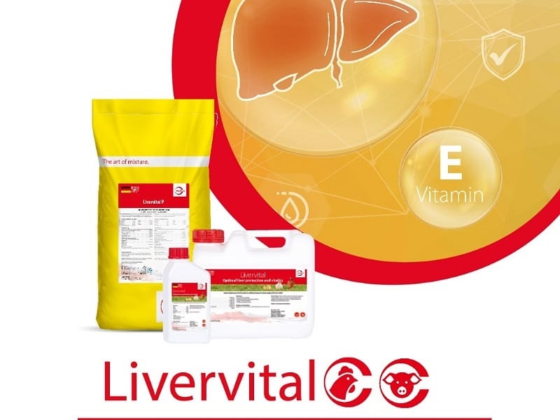 PROTECTOR HEPATICO. LIVERVITAL. MIAVIT | Solagro Insumos Nutrición y ...