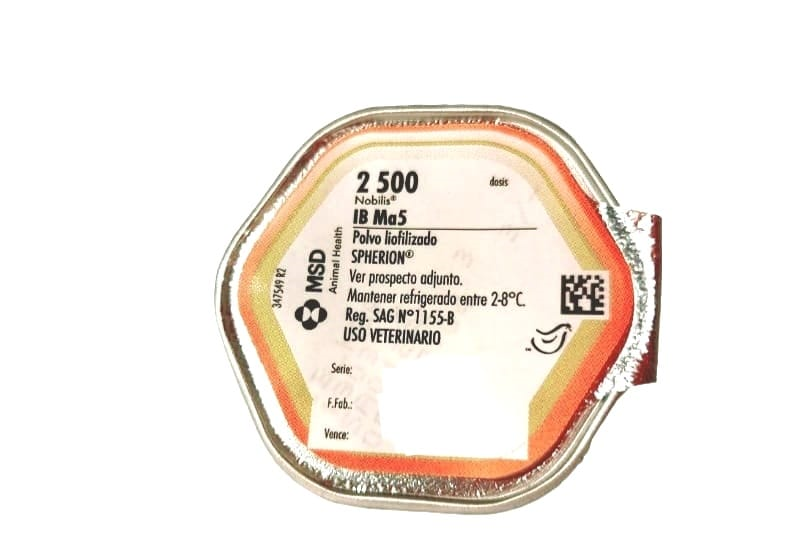 VACUNA PARA AVES. NOBILIS IB MA5 (BRONQUITIS) 2.500 dosis MSD INTERVET ...