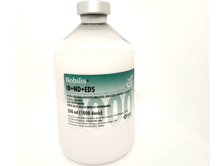 NOBILIS IB+ND+EDS TRIPLE Emulsión inyectable Envase 1.000 dosis MSD ...